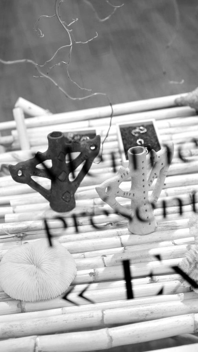 Pop Up Excavation – mermere